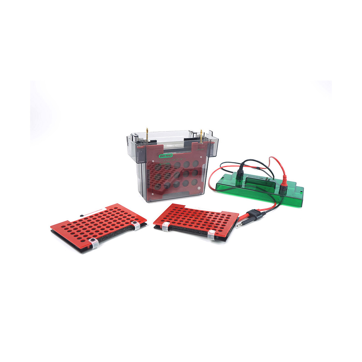 Bio-Rad Criterion Blotter 560BR Western Blot Nucleic Acid Transfer, 416 ...