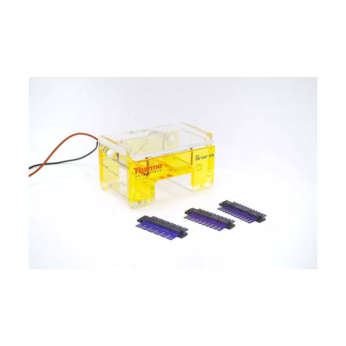Thermo Scientific Owl Easycast B1A Model 7312 Mini Gel Electrophoresi ...