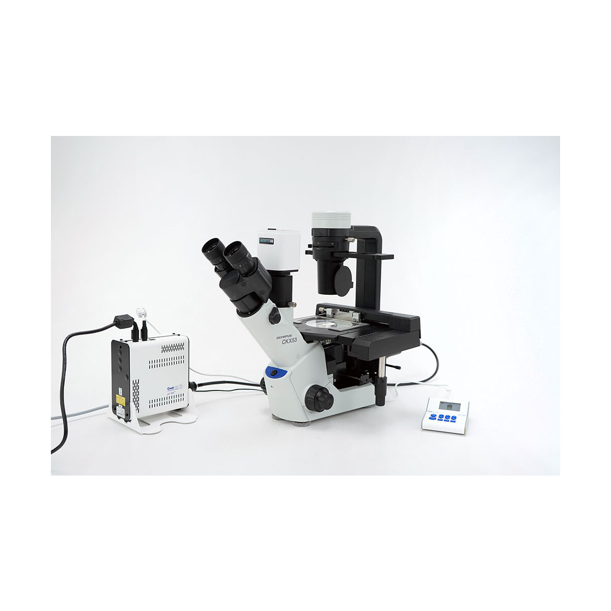 Olympus CKX53 Inverted Fluorescence Trinocular Microscope LED300 4x 1 ...